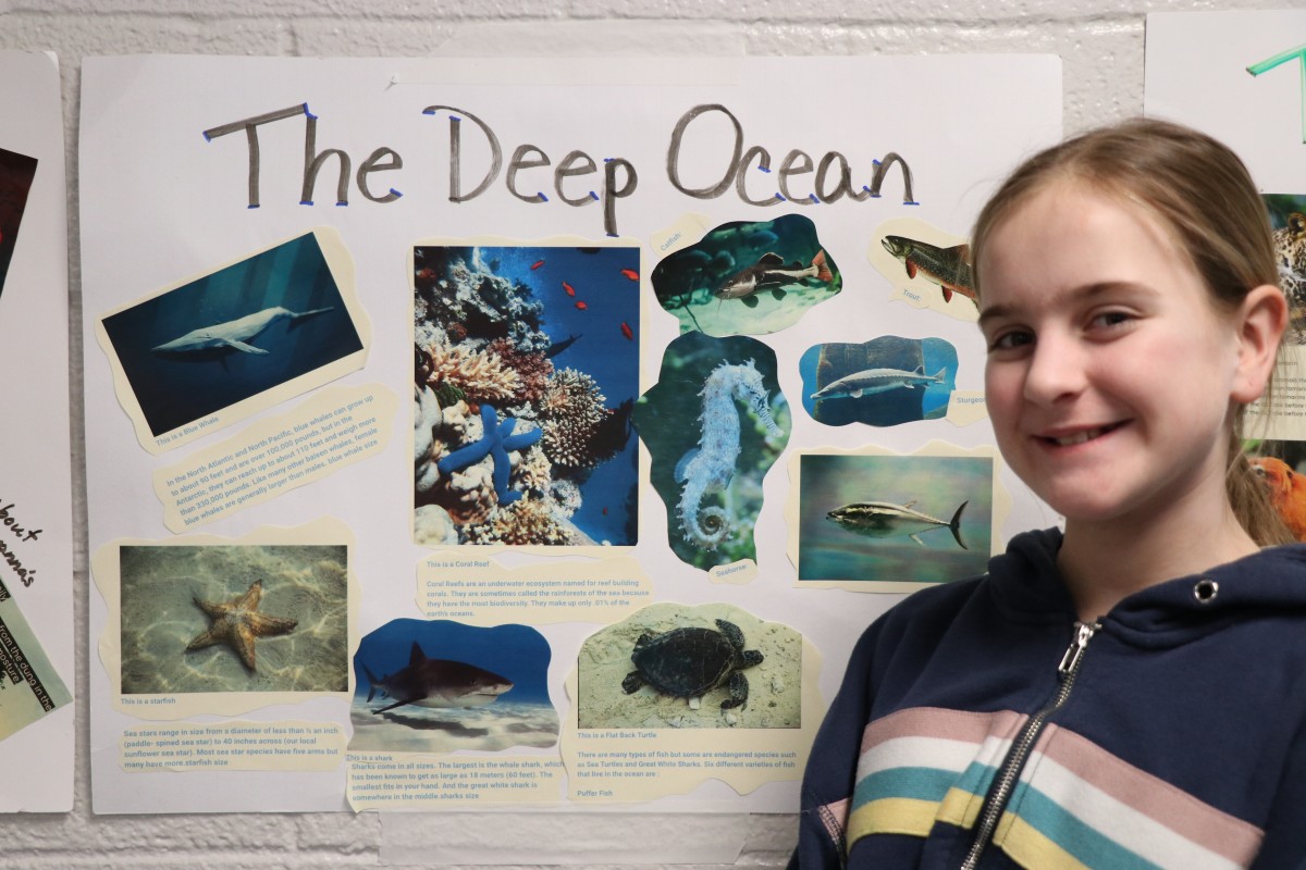 Fostertown 5th Graders Become "Experts" on Ecosystems- News - NECSD